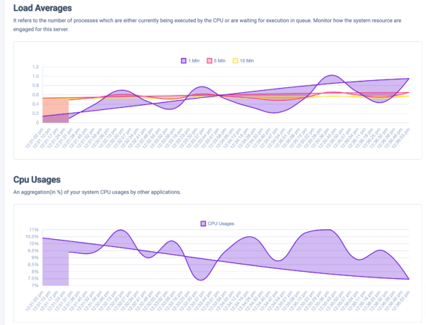 Server Overview - UptimeMonster
